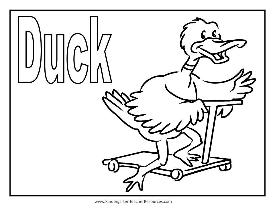 Animal Coloring Pages